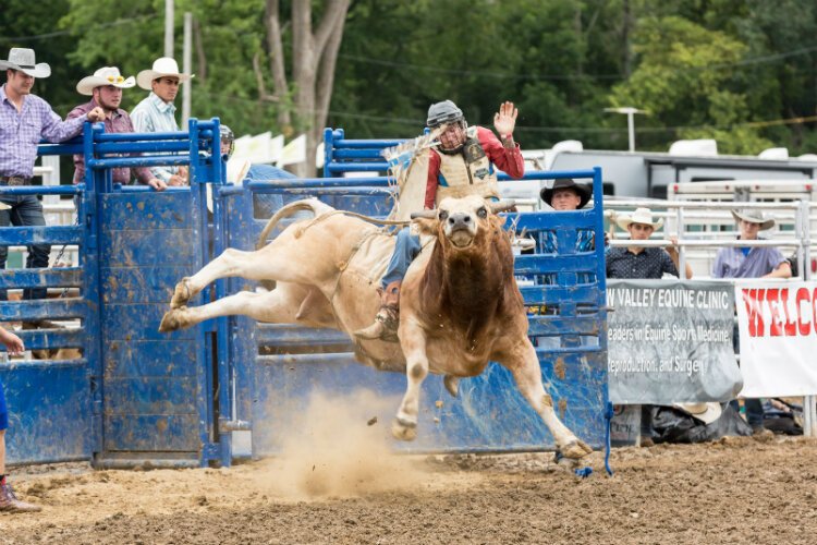 Genesee County Fair returns for 170th year with carnival rides, unique ...
